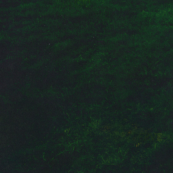 Livingston Official Store - Livingston Official Store